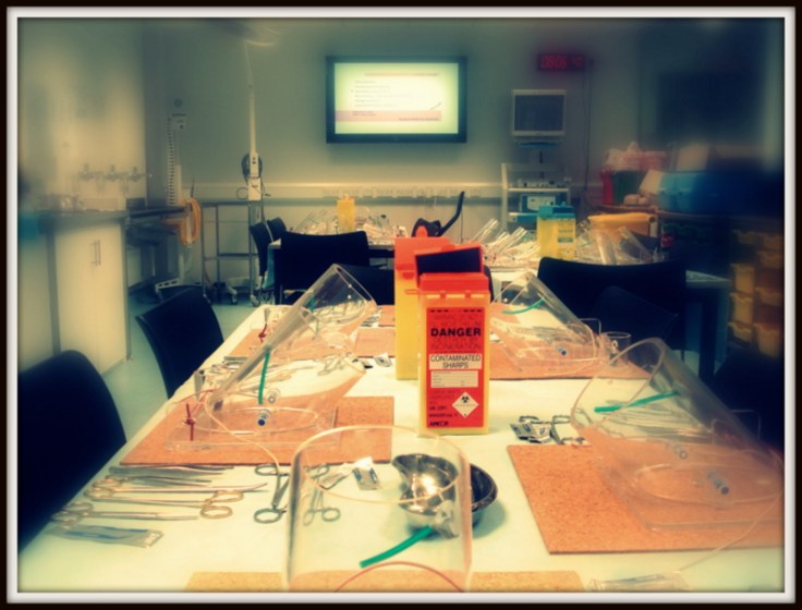 SSS – GAPS – Technology Enhanced Learning & Teaching